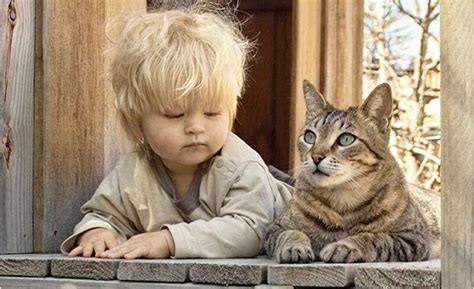 最強の癒しコラボ赤ちゃんと猫の仲良し写真20選