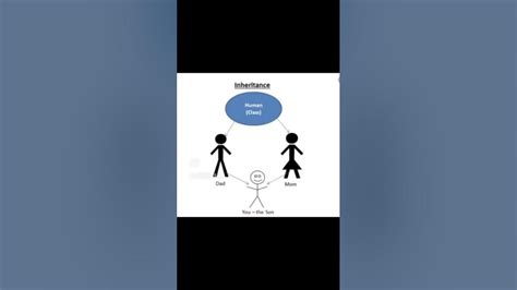 Oops P6 Learning Programminglife Programminglanguage Skills Motivation Codelearning Youtube