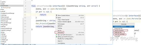熟练使用go ide goland 知乎