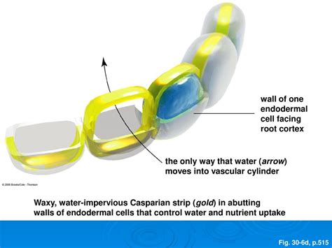 PowerLecture Chapter Ppt Download