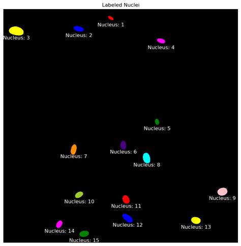 Nuclei Detection And Fluorescence Quantification In Python A Step By