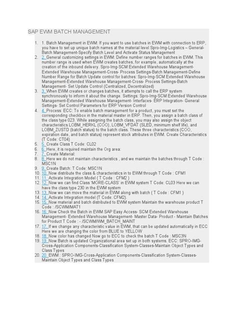 Sap Ewm Batch Management Custom Pdf Enterprise Resource Planning