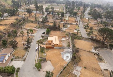 As California Debates Zone Zero Researchers Want To Know Can Trees