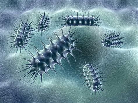 显微镜下的细菌世界图片 细菌的三维渲染素材 高清图片 摄影照片 寻图免费打包下载