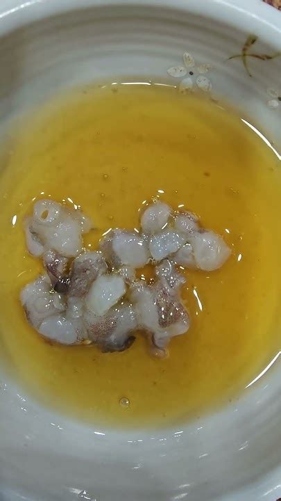 그닥 생으로 먹는건 즐겨 하지않아 Youtube