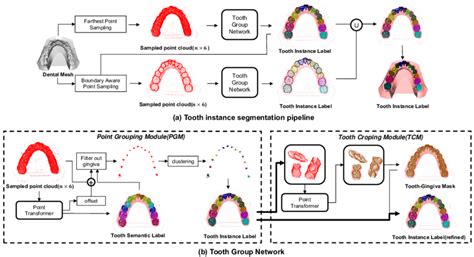 proposed approach by cgip team a tooth instance segmentation