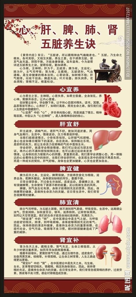 中医养生知识展架设计图展板模板广告设计设计图库昵图网 中医养生知识展架设计图展板模板广告设计设计图库昵图网