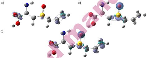 Isosurfaces Of Fukui Functions For Alliin According To Equations 10