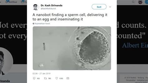 Viral Nano Robot Ini Bisa Temukan Sperma Dan Antarkan Ke Ovum