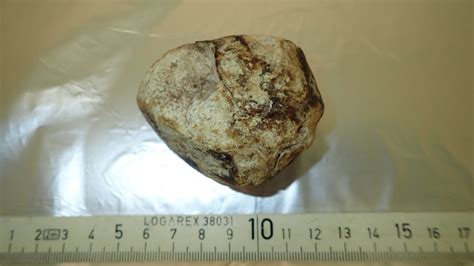 New Origin Story For Gross Blobs That Wash Up On Beaches The New York Times