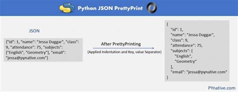 Python Prettyprint Json Data