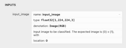 Android Studio This Model Is Not Supported Input Tensor Does Not Have A Name Stack Overflow
