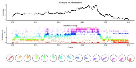 Fit Head Direction Population Nemos Workshop Feb 2024