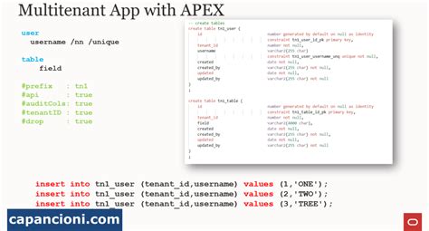 Multitenant App With APEX
