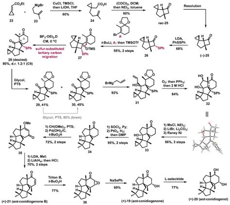 Deconstructive And Divergent Synthesis Of Bioactive Natural Products