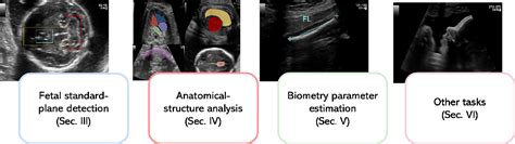 Figure 1 From A Review On Deep Learning Algorithms For Fetal Ultrasound Image Analysis