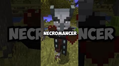 I Started Minecrafts Deadliest Raid On Accident Mod Is Leos