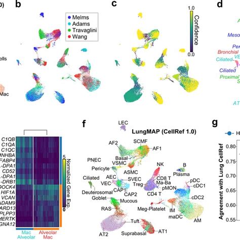 Multimodal Integration Identifies Rare And Unannotated Cell States