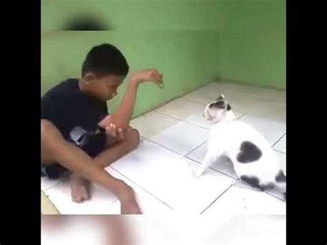 Jurus Fathok De Snake Sendi Gambut Gambut Brotherhood YouTube