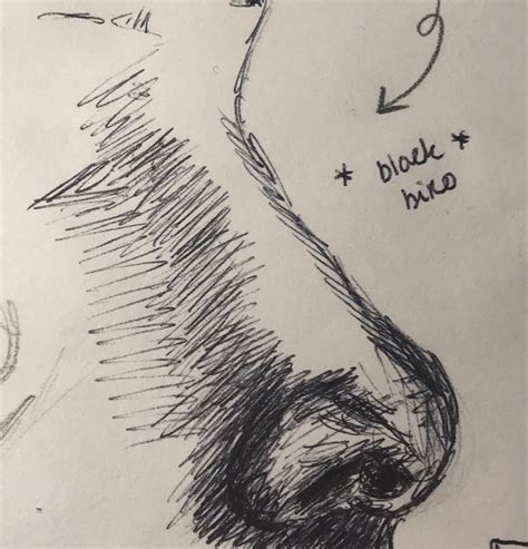 Nose Sketch Nose Sketch