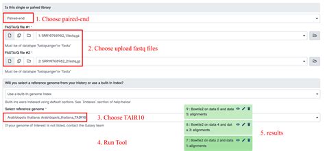 Chip Seq分析（galaxy）galaxy数据分析工具chipseq Csdn博客