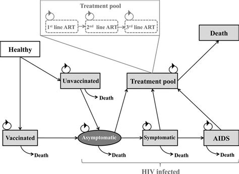 Semi Markov Model Of The Human Immunodeficiency Virus Hiv Vaccine Download Scientific Diagram
