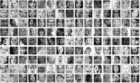 Fer2013 Dataset Machine Learning Datasets