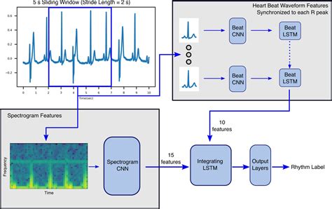 Sequence To Sequence Ecg Cardiac Rhythm Classification Using Convolutional Recurrent Neural
