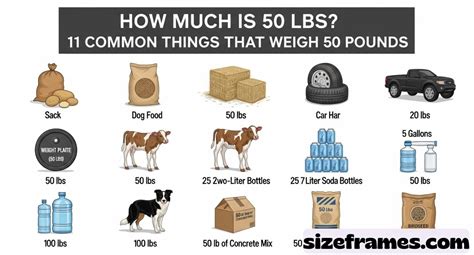 How Much Is 3 Ounces 11 Common Things That Weigh 3 Oz
