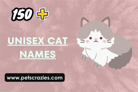 150 Unisex Cat Names The Perfect Fit For Any Kitty