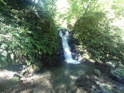 上谷山の沢登り徳山右岸 上の谷 大人の水遊び岐阜市近郊の沢登り もんり