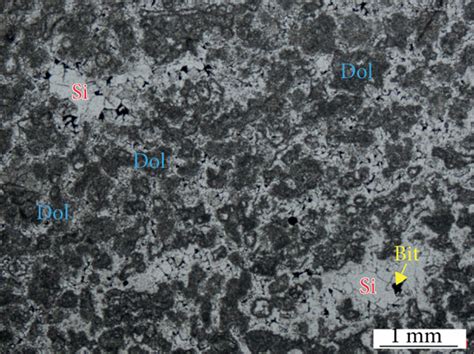 Lithology And Pore Characteristics Of Ms Well 1 Z2dn⁴ Member Download Scientific Diagram