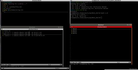 C高级——shell脚本写一个 Shell 脚本完成如下功能 1显示文字 Waiting For A While Csdn博客