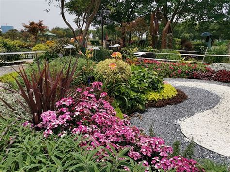 七月在郑州北龙湖花境展拍的，以河南不同地市作主题