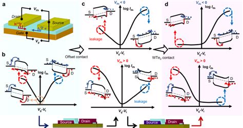 Contact Engineered Reconfigurable Two Dimensional Schottky Junction Field Effect Transistor With