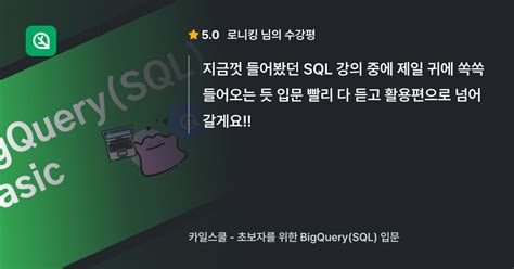 로니킹님의 생생한 수강평 초보자를 위한 bigquery sql 입문 인프런 수강평