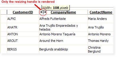 Telerik Web Forms Grid Columns Resizing Telerik Ui For Asp Net Ajax
