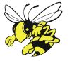 The Hoover Hornets
