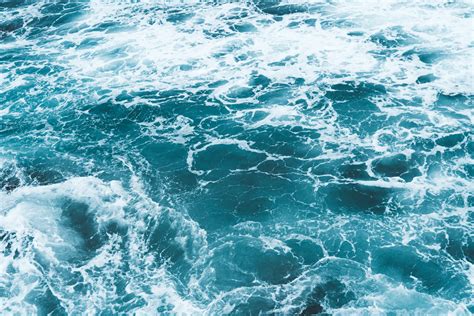 Custom Workflow Single Label Classification Classification Dataset And Pre Trained Model By Myset