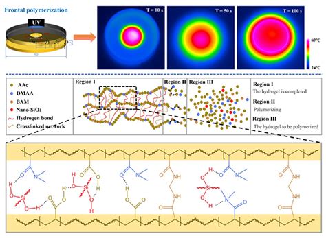 Uv Initiated The Ultra Fast Curing An Amazing Breakthrough Of Frontal Polymerization In