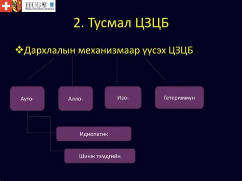 цус задрах хам шинж Pptx