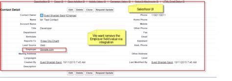 Allow Nullblank Values To Be Updated In Salesforce From Informatica