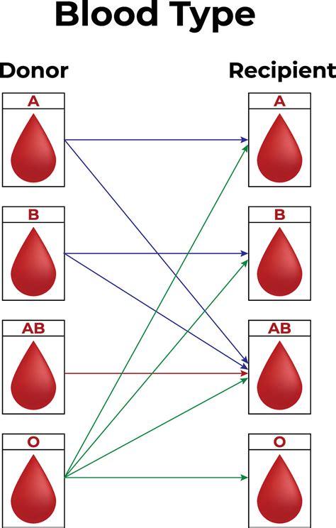 Blood Type Science Design Vector Illustration Diagram 40983141 Vector Art At Vecteezy