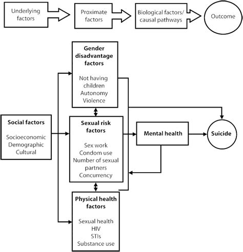 A Conceptual Framework For Social Risk Factors For Suicide Among Female
