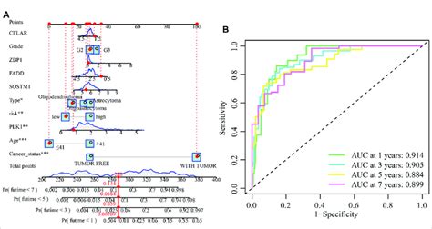 The Development And Validation Of The Risk Score Based Nomogram A A
