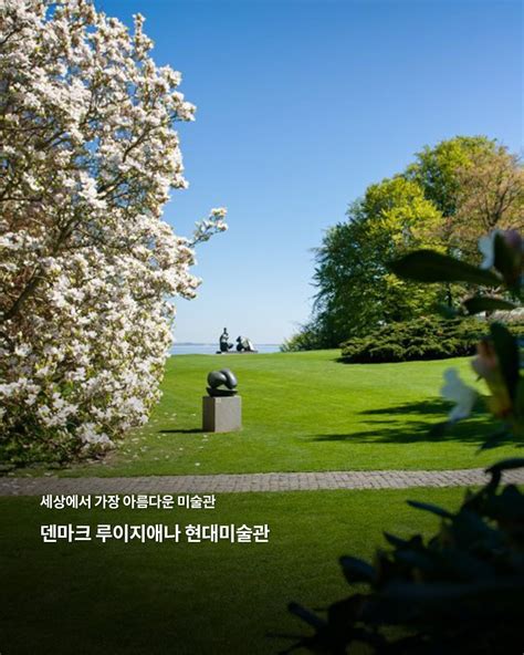 🌊 덴마크 루이지애나 현대미술관 ‘세상에서 가장 아름다운 미술관이라는 수식어가 붙은 곳이야 이곳의 조각 공원은 탁 트인 외레순 해협 바다를 발아래 두고 있어 온통