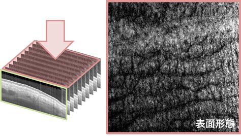 Oct Sd 01 株式会社スカイテクノロジー