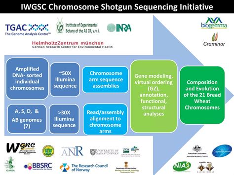 Wheat Genome Project Pptx