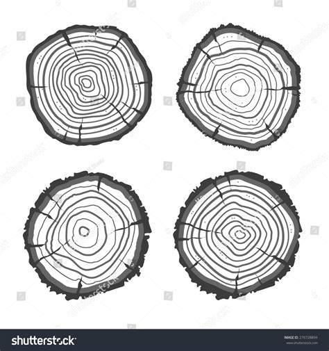 Vector Illustration Tree Rings Set Isolated Stock Vector Royalty Free Shutterstock