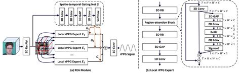 Video Based Rppg Ssl Csys Blog